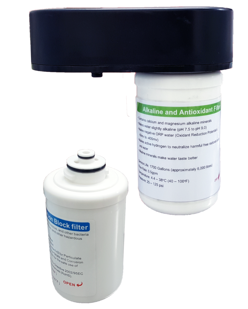 Renaissance with Alkaline Filter - H2O eStore